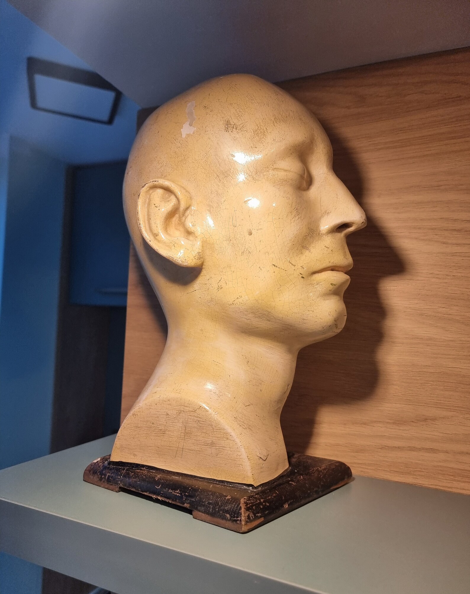 Antique Anatomical Model of a Human Head 1880. Sculpture. Life Sizean ...
