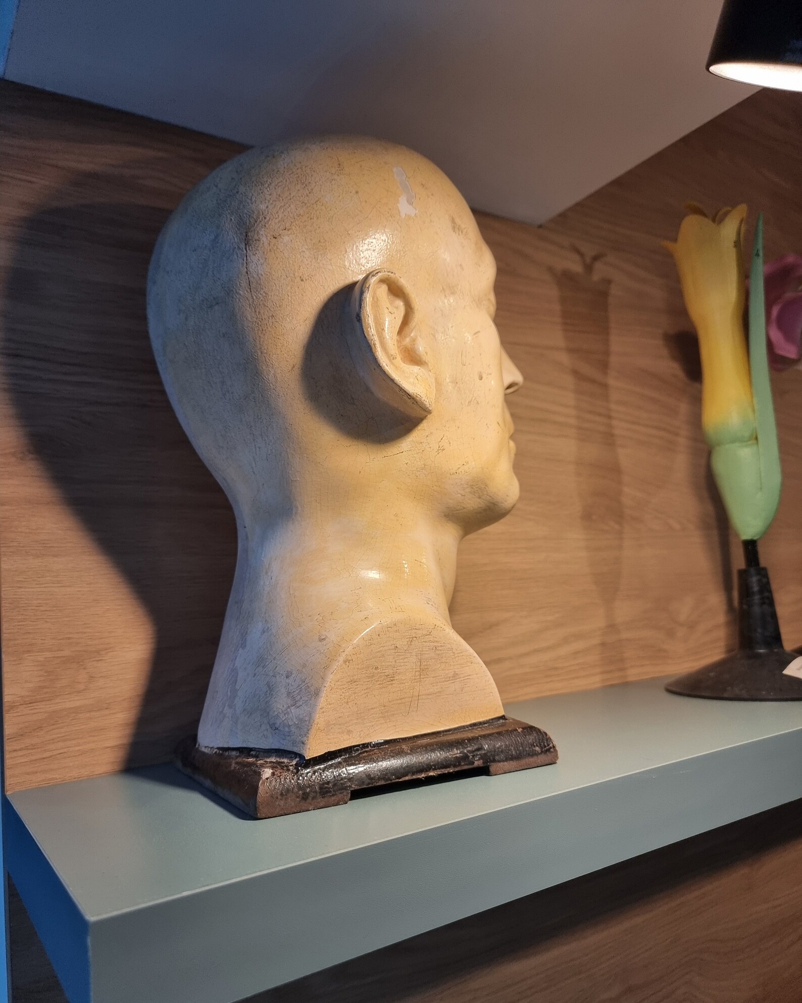 Antique Anatomical Model of a Human Head 1880. Sculpture. Life Sizean ...