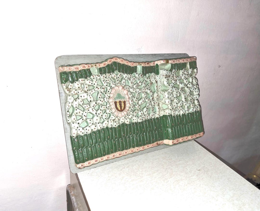 Vintage Botanical Pattern. A Plant - Etsy