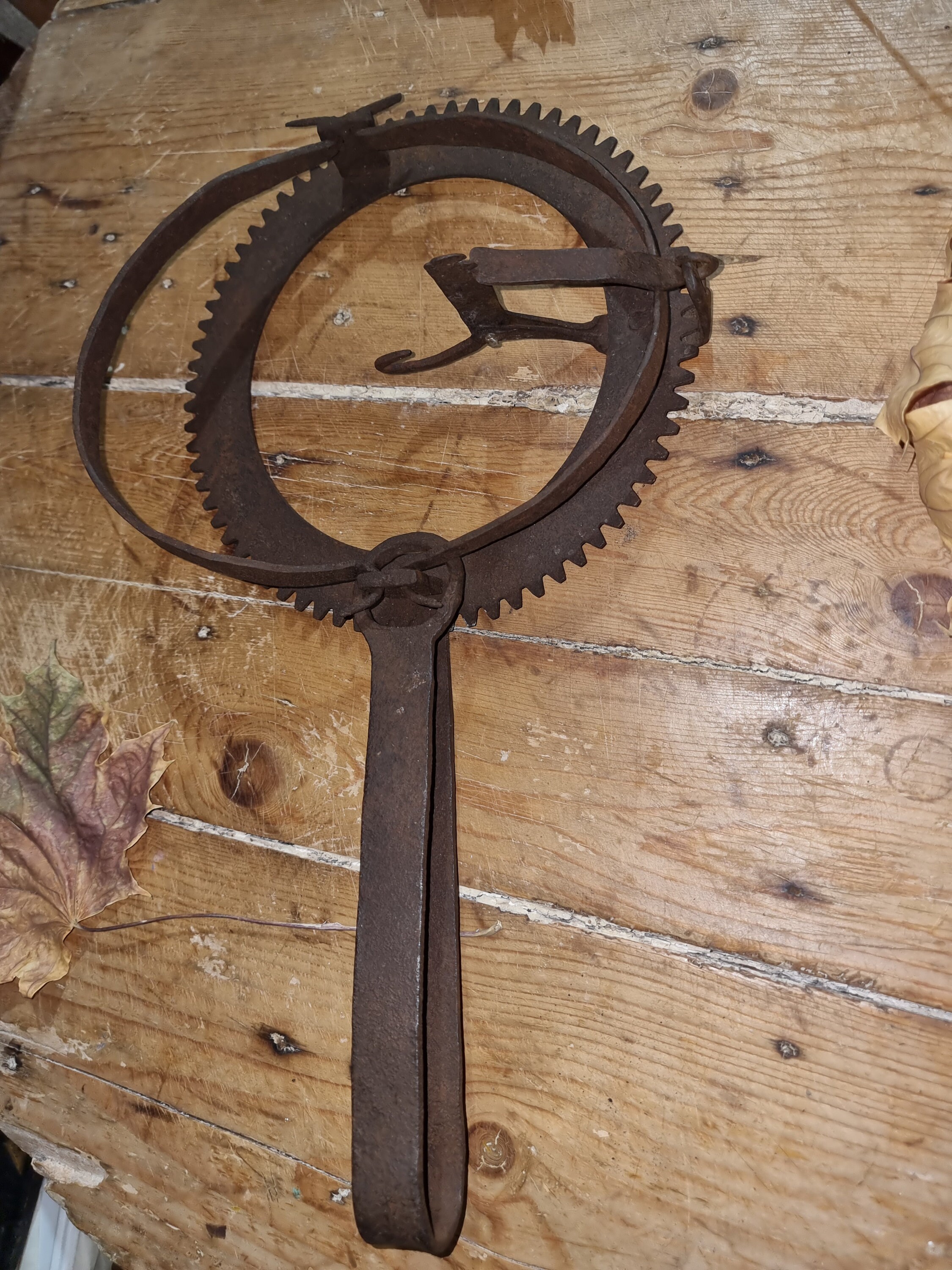 Antique Wrought Iron Wolf Trap. Iron Wrought Wolf Trap. Wrought Iron ...