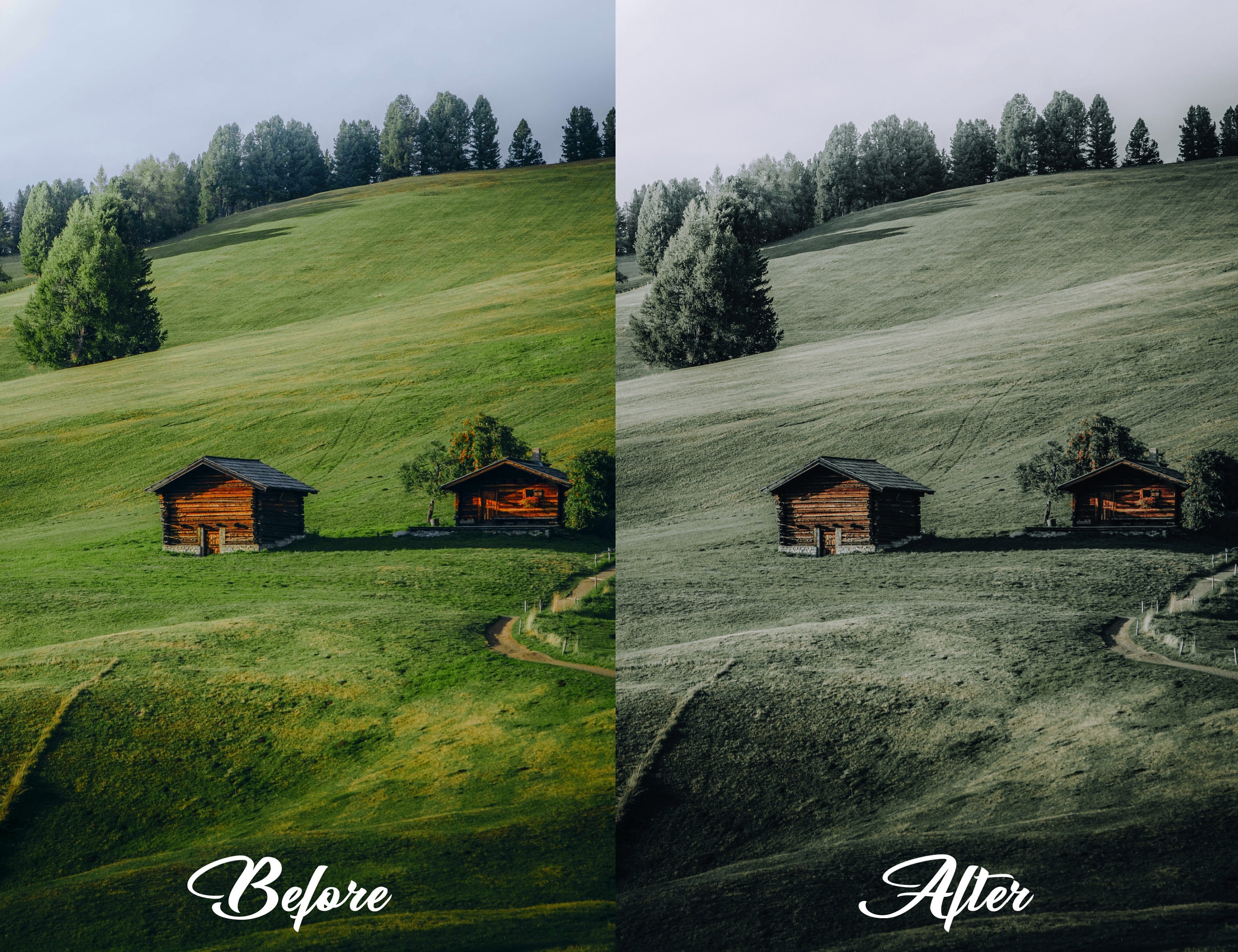 10 Cinematic Green Lightroom Moblie & Desktop Presets - Etsy