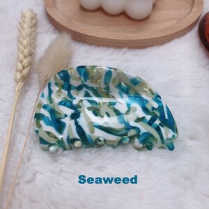 Middle Size 7.5cm Shell Shape Hair Claw, Spring Colour Cellulose ...