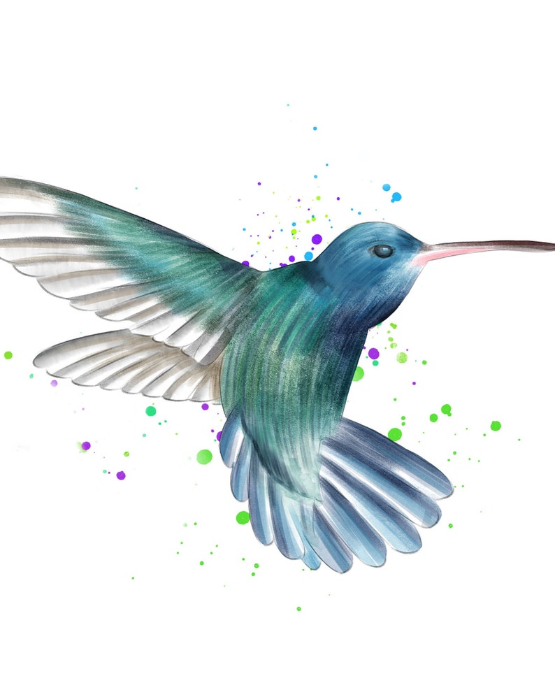 Set of Hummingbirds Hummingbird Prints Hummingbird Poster - Etsy