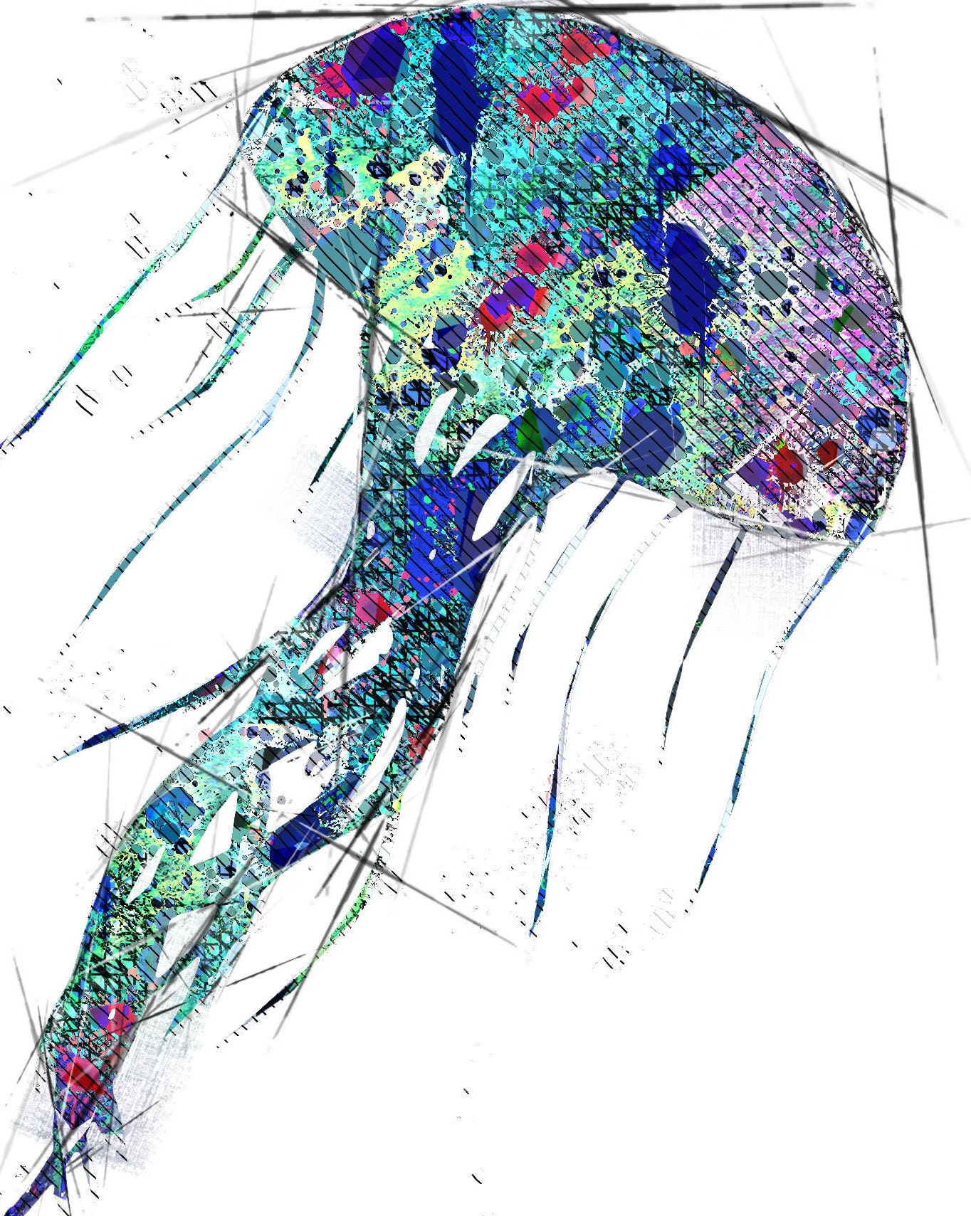 Sea Creature Posters Sea Creature Wall Art Sea Horse Print - Etsy