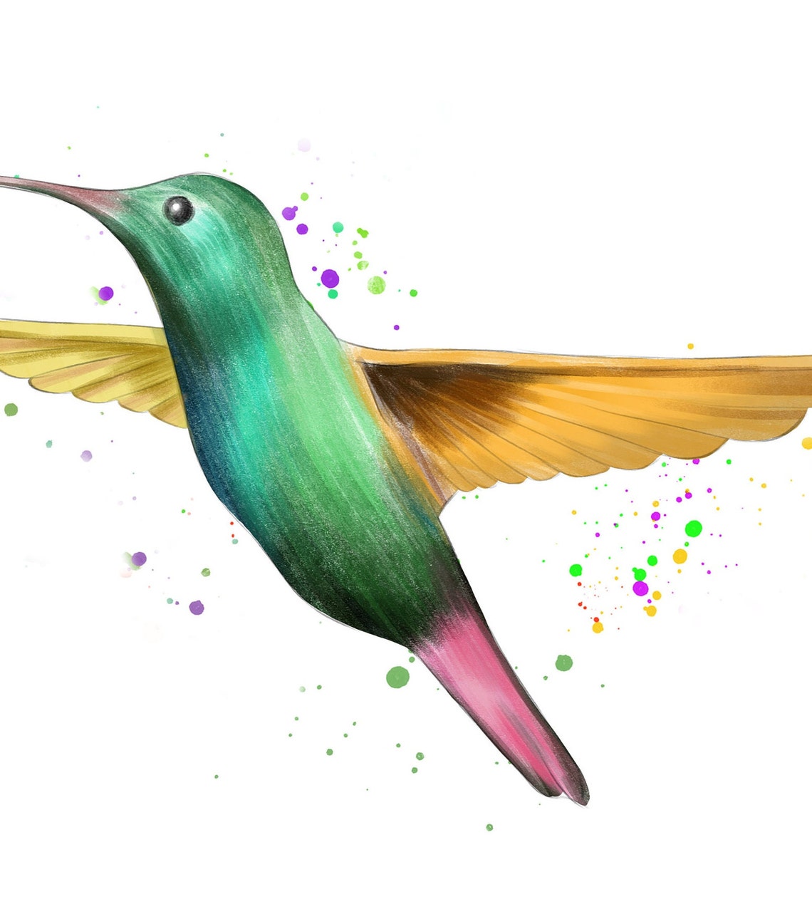 Set of Hummingbirds Hummingbird Prints Hummingbird Poster - Etsy