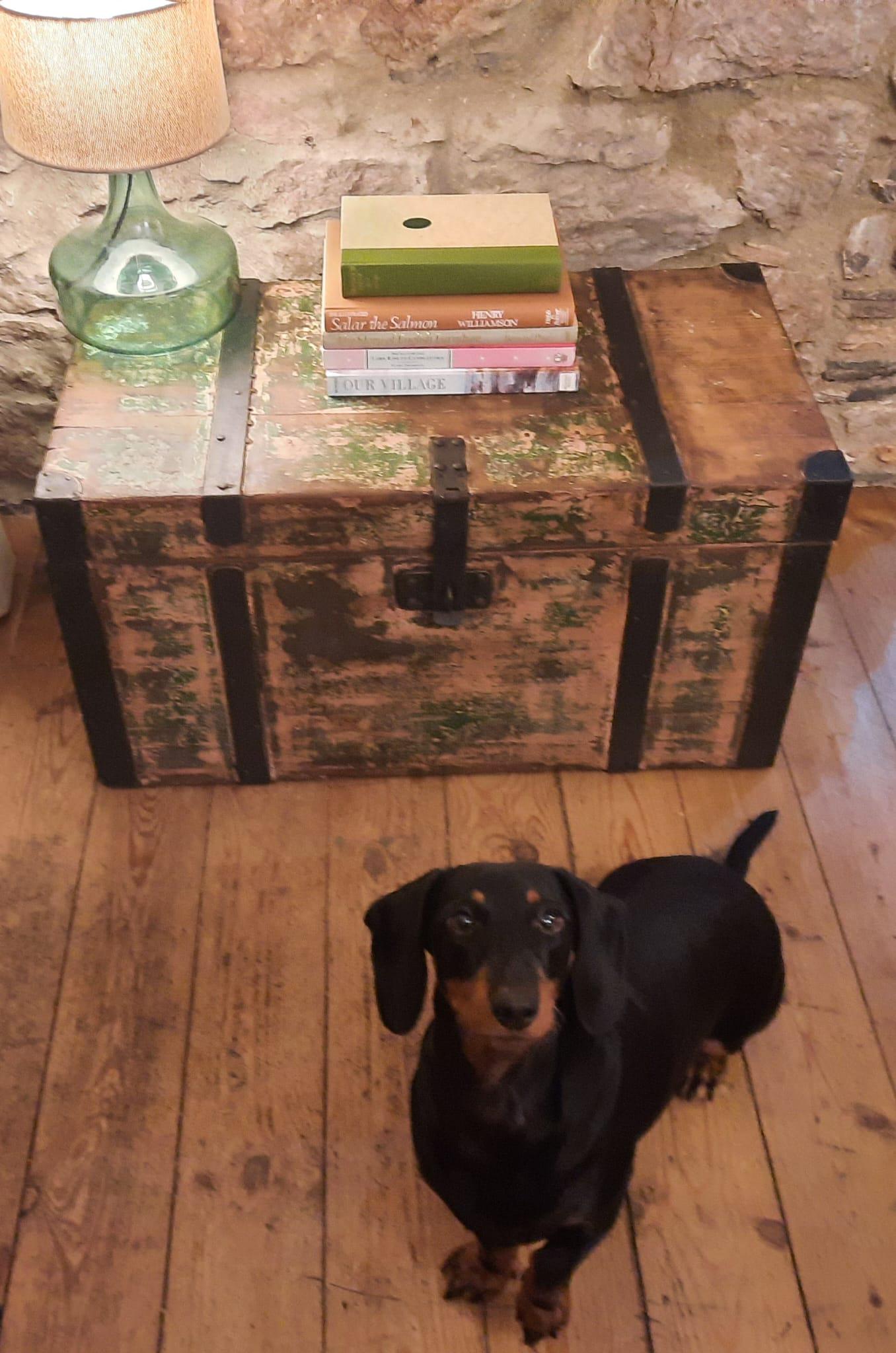 Antique Pitched Pine Distressed Chest - Etsy