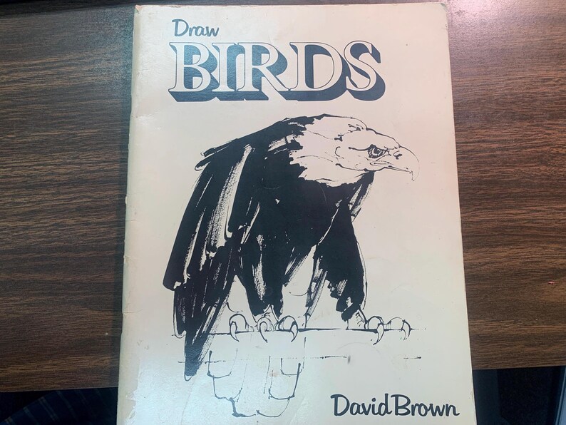 Draw Birds by David Brown, 1979 - Etsy
