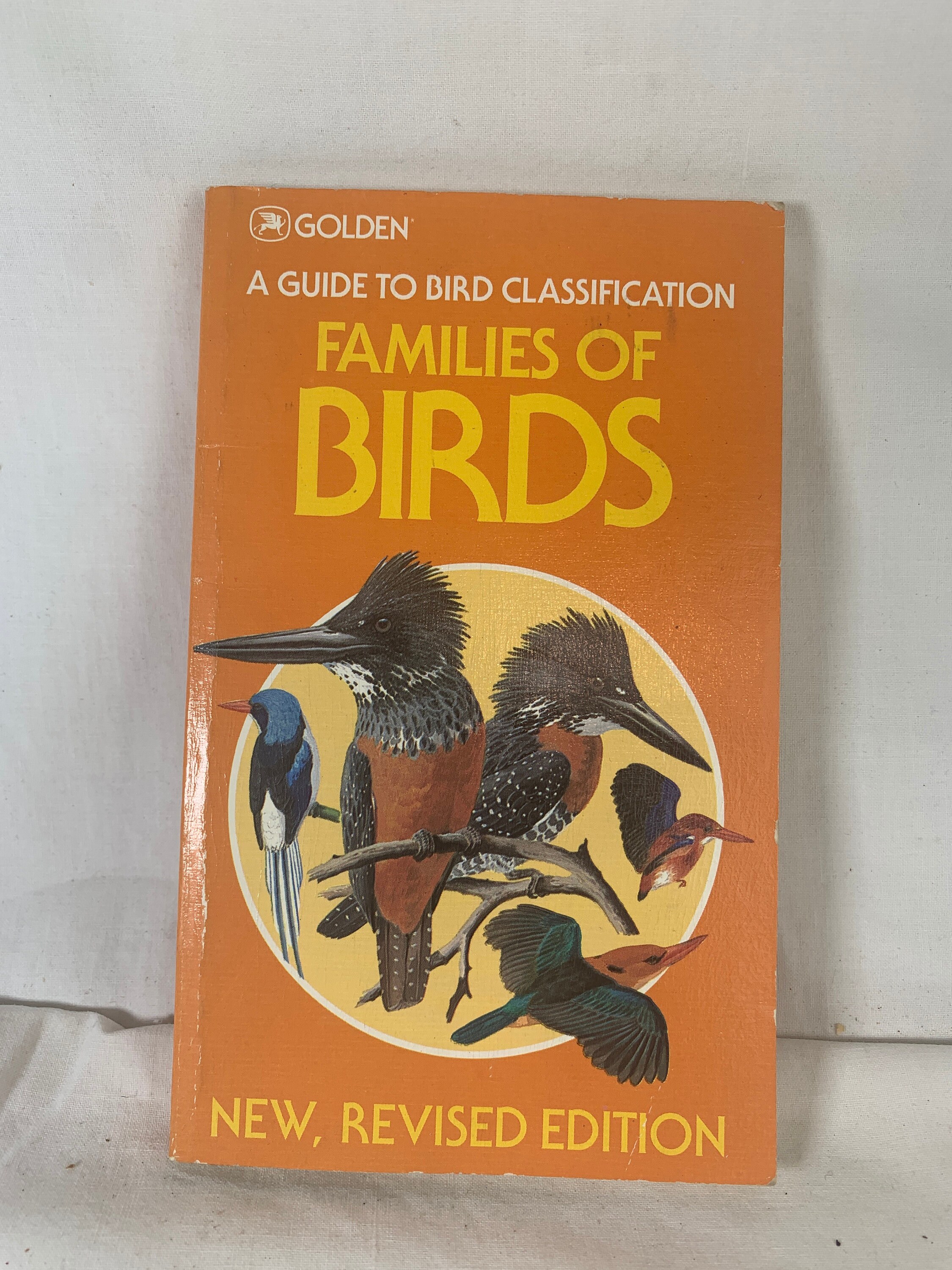Families of Birds: A Guide to Bird Classification - Etsy
