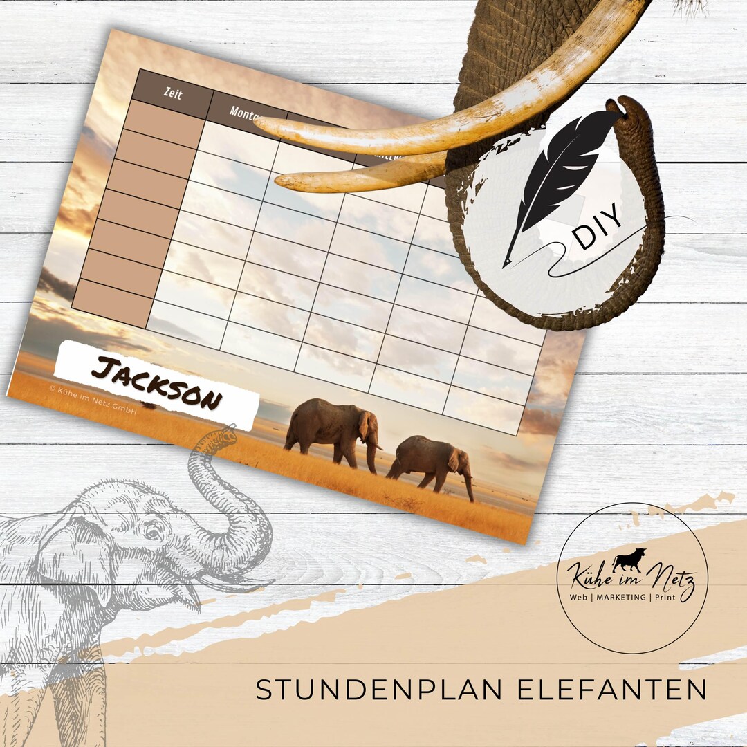 ELEPHANTS Timetable Personalized to Fill Out/print PDF Download School ...