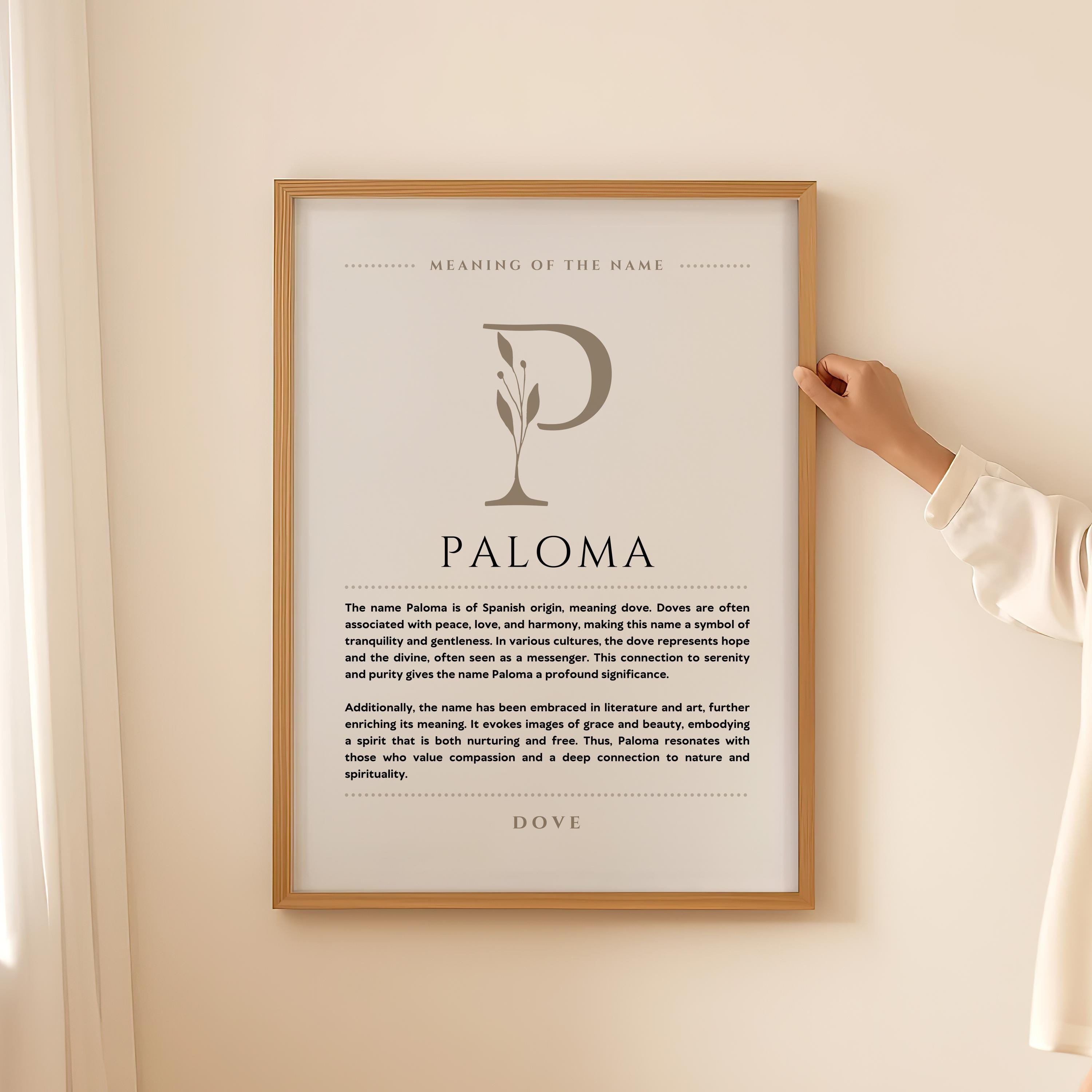Paloma Baby Name