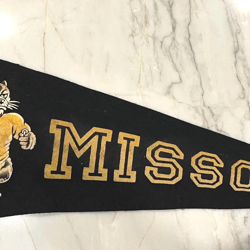 Michigan Felt Pennants - Etsy