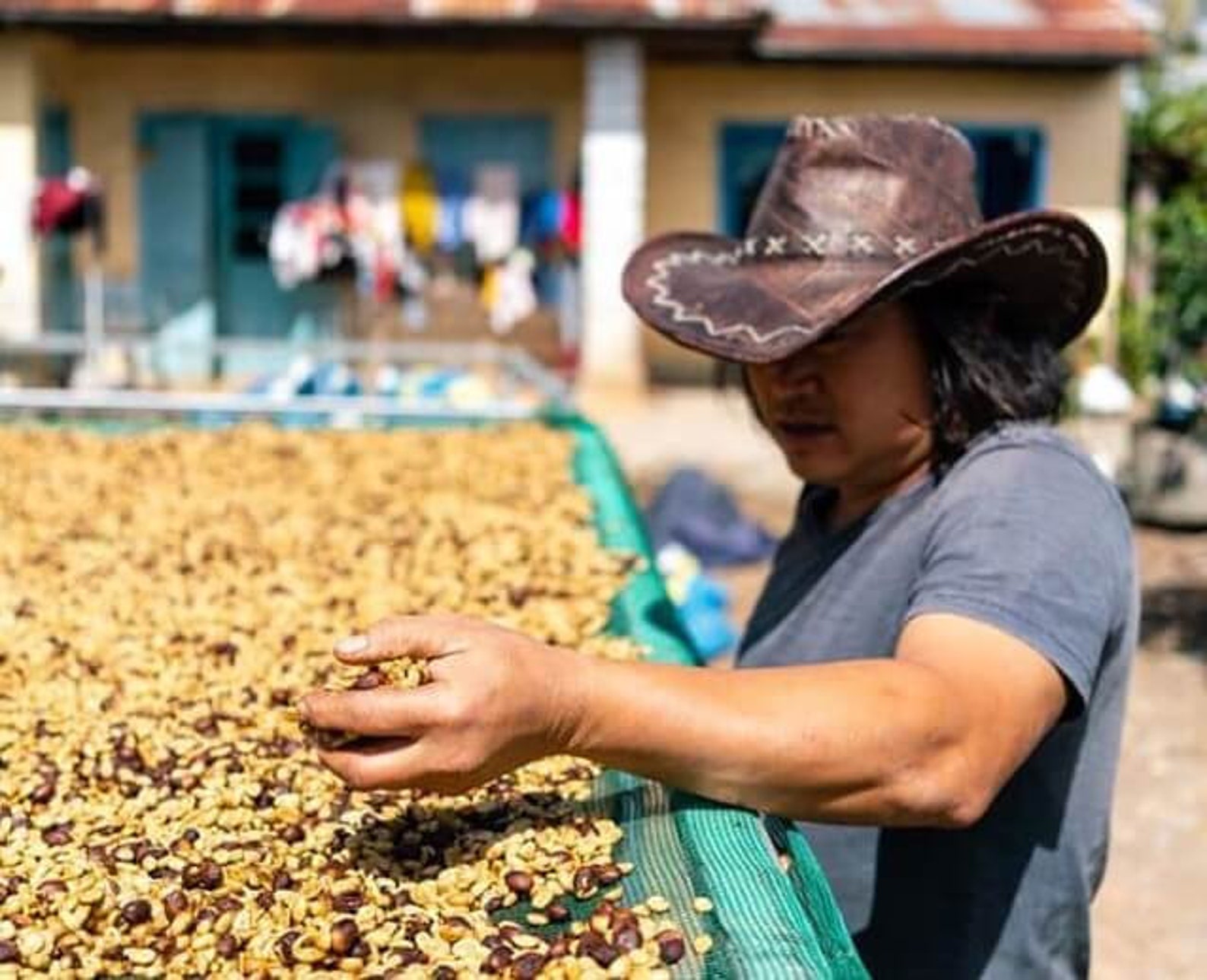 Vietnamese Coffee Starter Pack With Vietnamese Phin Filter - Vietnamese ...