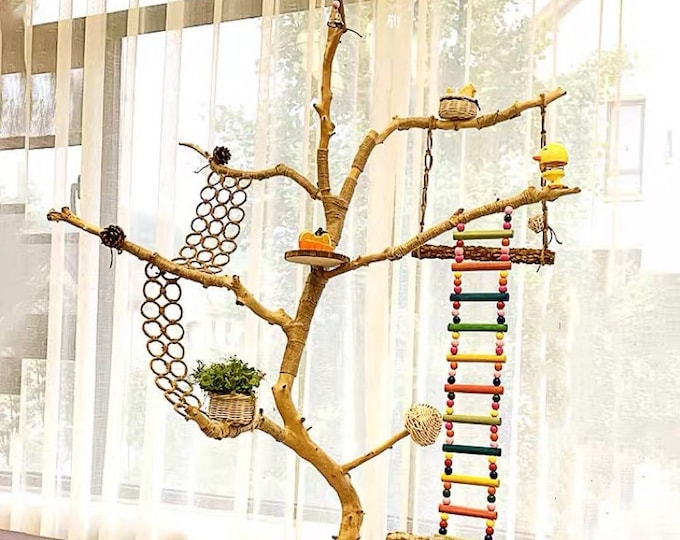 Custom Order 70-150cm Parrot Tree Stand Natural Tree Branch Organic ...