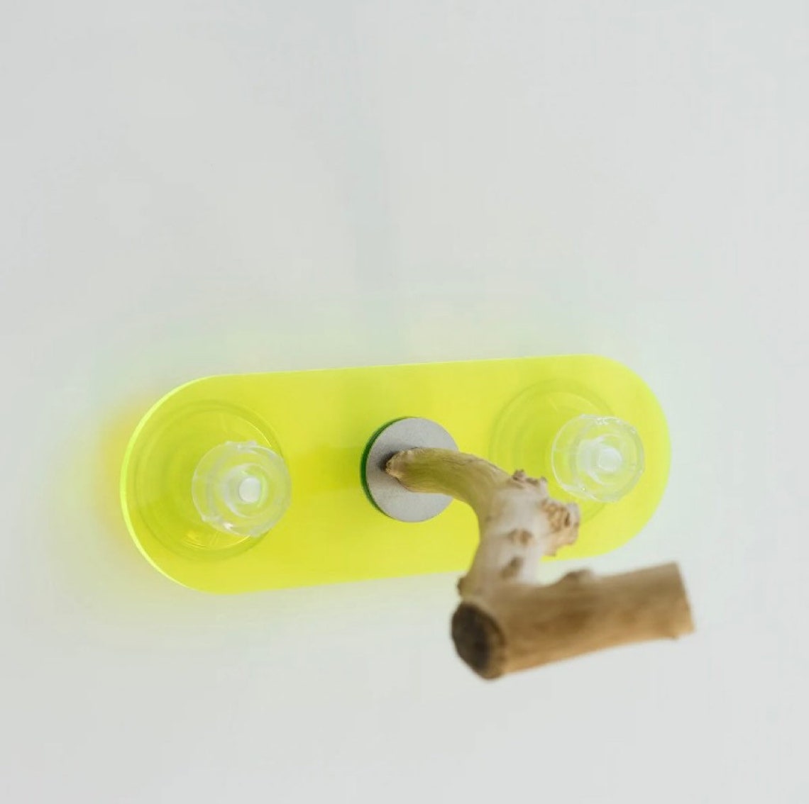 17x6cm Colorful Acrylic Parrot Window Bird Wooden Perch - Etsy