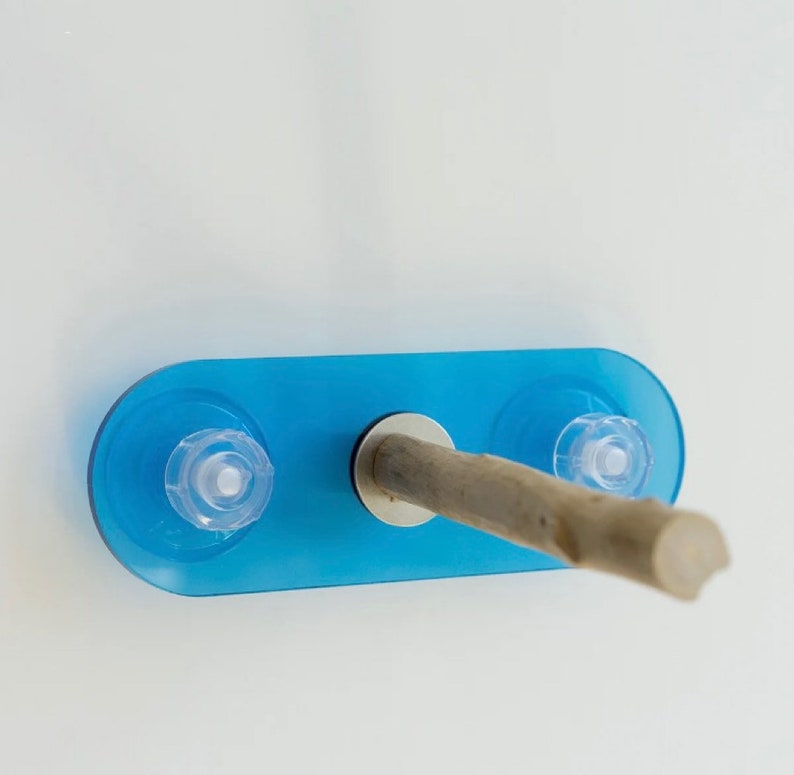 17x6cm Colorful Acrylic Parrot Window Bird Wooden Perch - Etsy