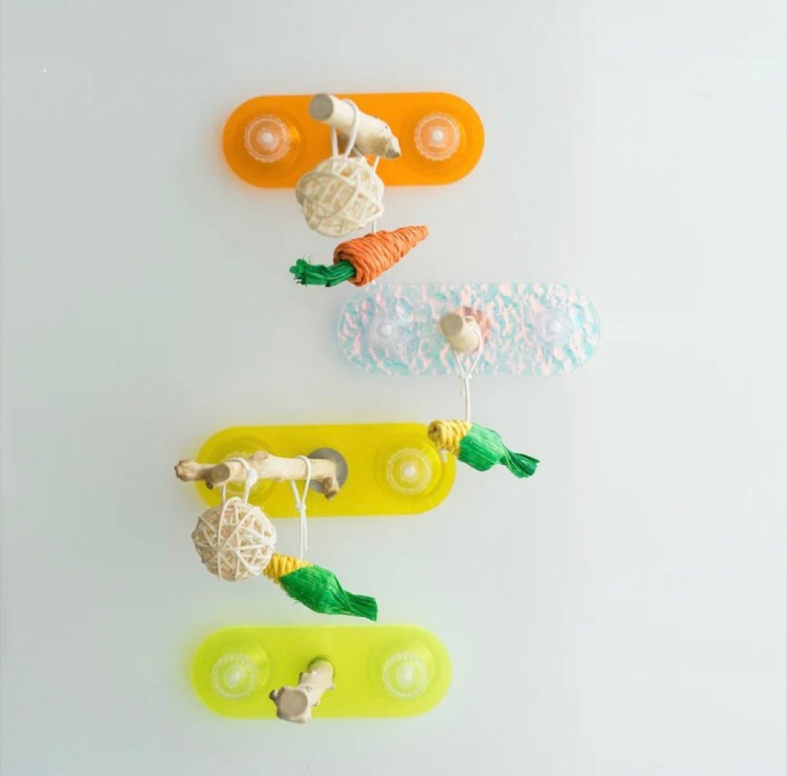 17x6cm Colorful Acrylic Parrot Window Bird Wooden Perch - Etsy