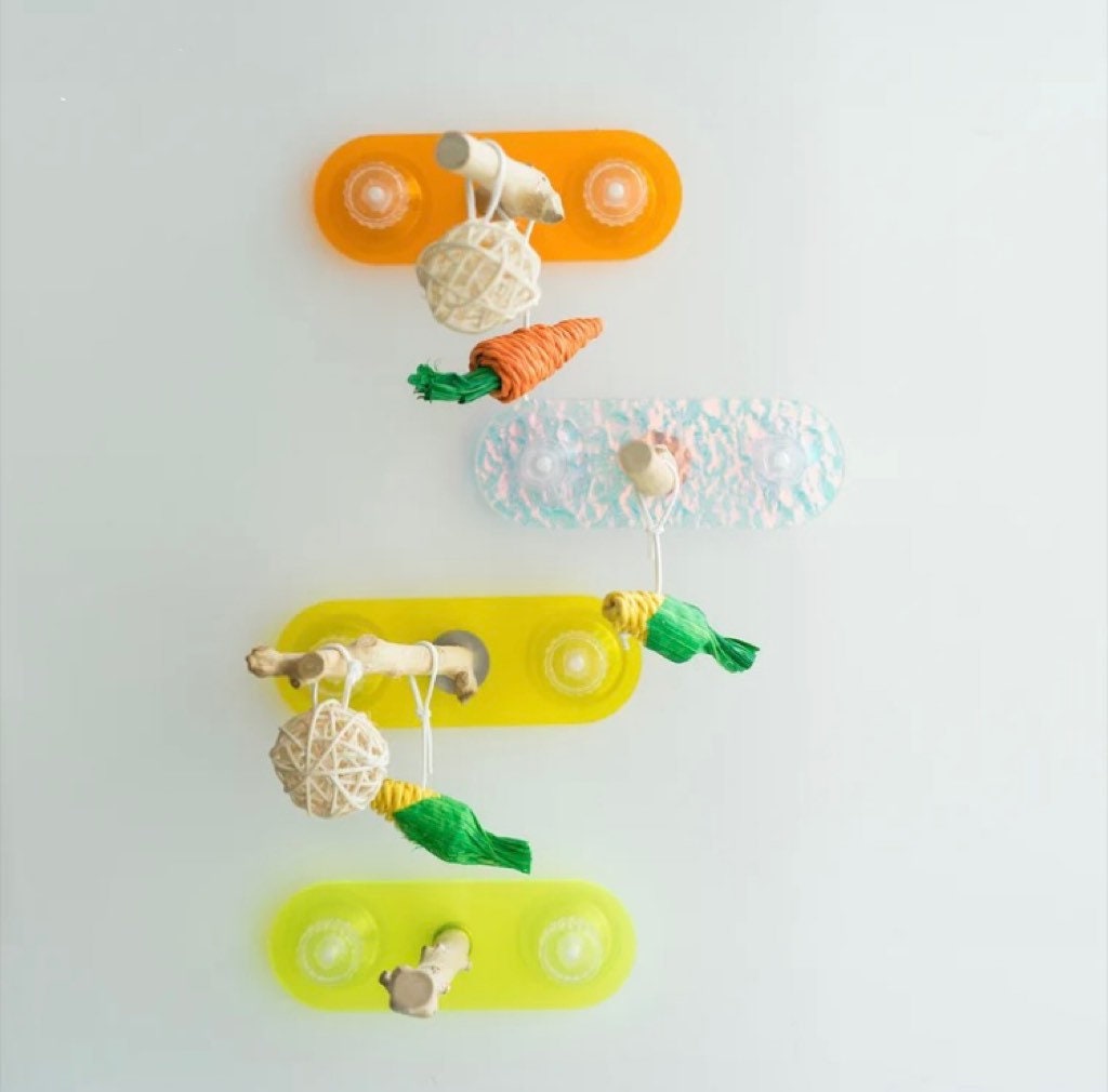 17x6cm Colorful Acrylic Parrot Window Bird Wooden Perch - Etsy