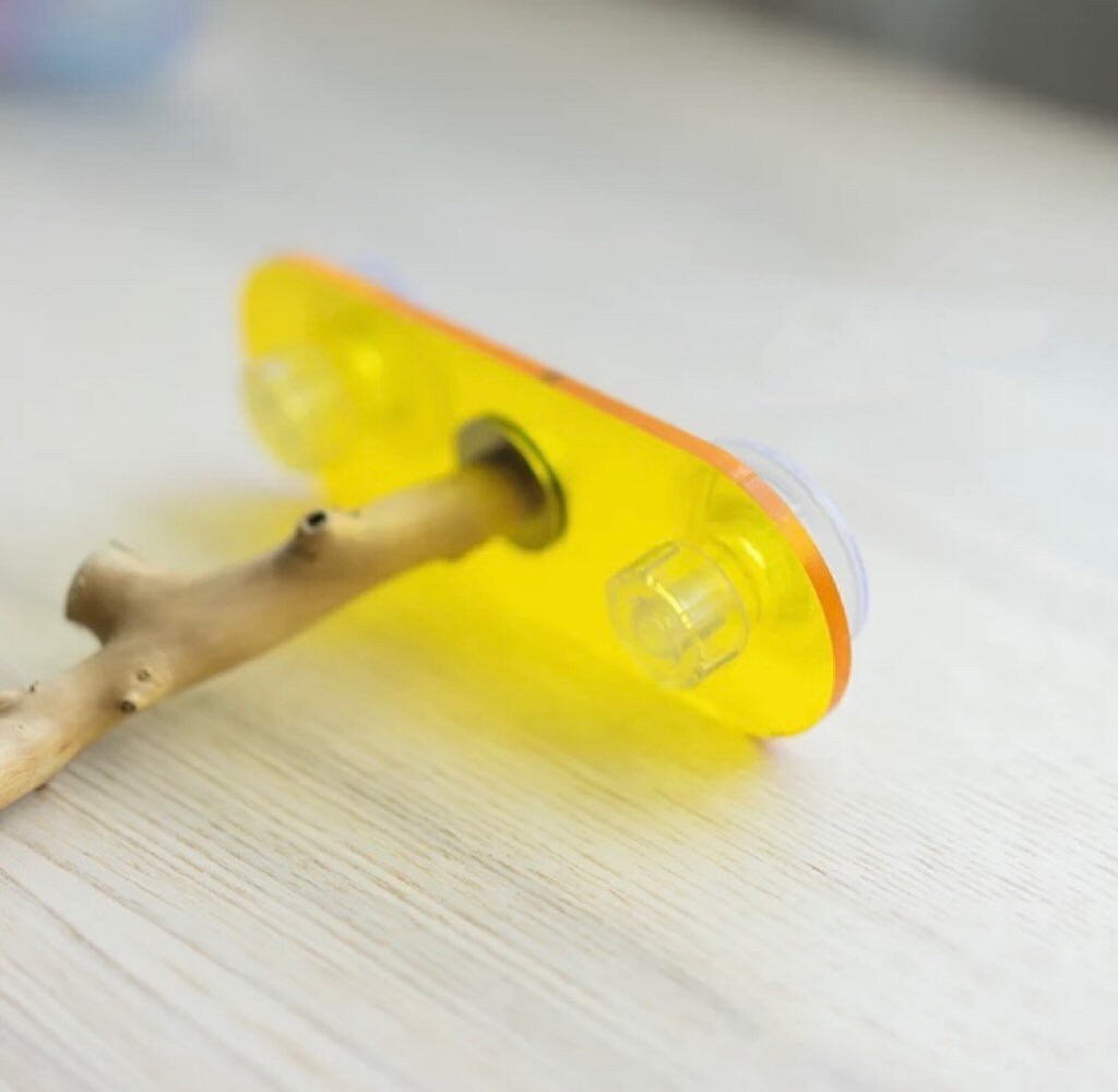 17x6cm Colorful Acrylic Parrot Window Bird Wooden Perch - Etsy