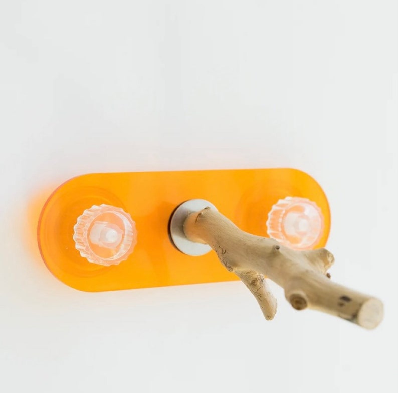 17x6cm Colorful Acrylic Parrot Window Bird Wooden Perch - Etsy