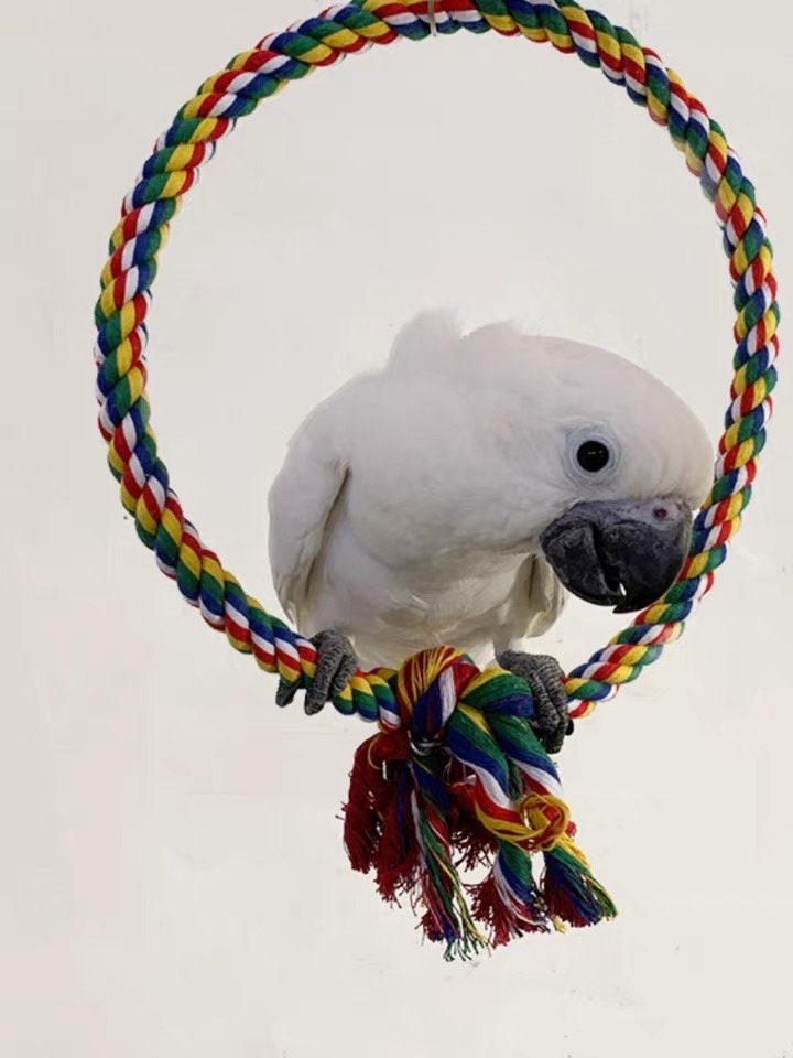 25cm Giant Rope Swings Hanging Natural Parrot Birdie Toy for Medium ...