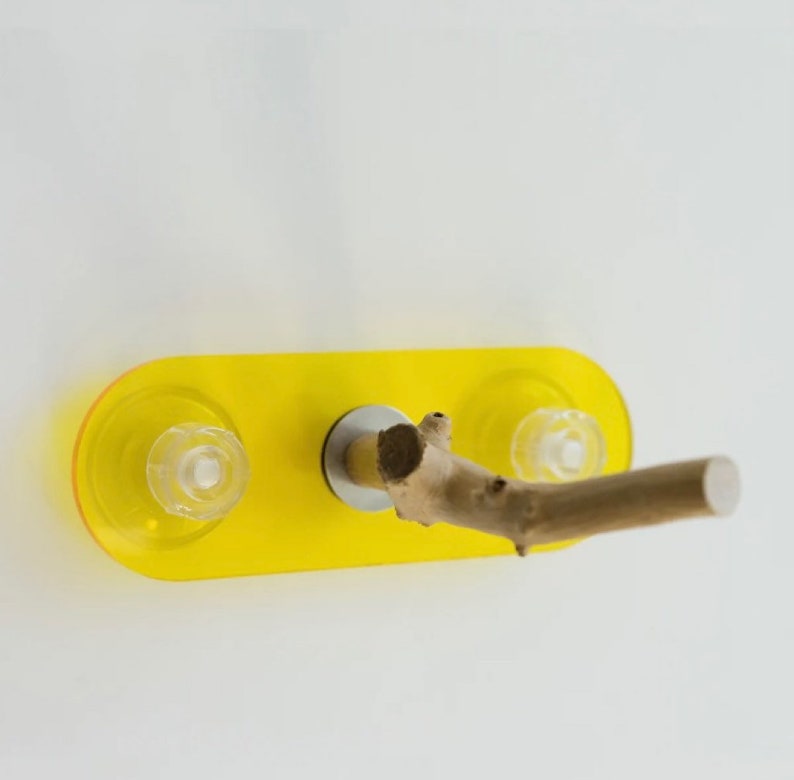 17x6cm Colorful Acrylic Parrot Window Bird Wooden Perch - Etsy