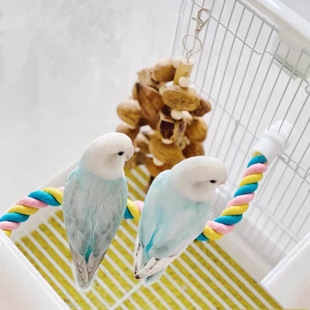 3 Size Pastel Rope Perch Birdie Standing for Small Medium Bird and ...