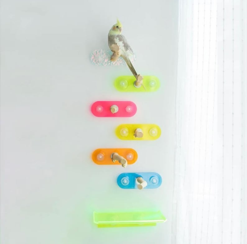 17x6cm Colorful Acrylic Parrot Window Bird Wooden Perch - Etsy