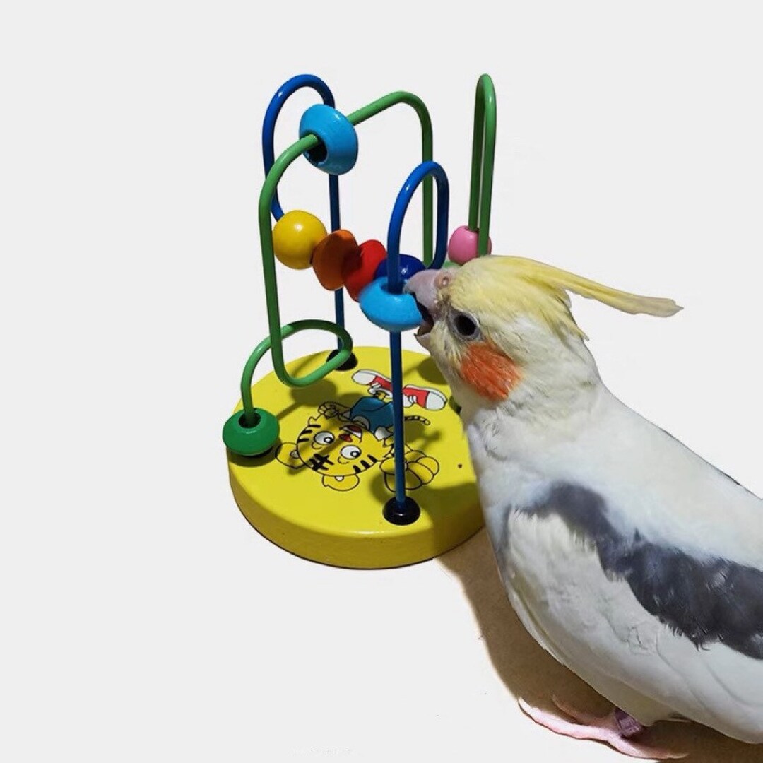 12x9cm Parrot Toy Beads & Steel Wire for Small and Medium Parrot Bird ...