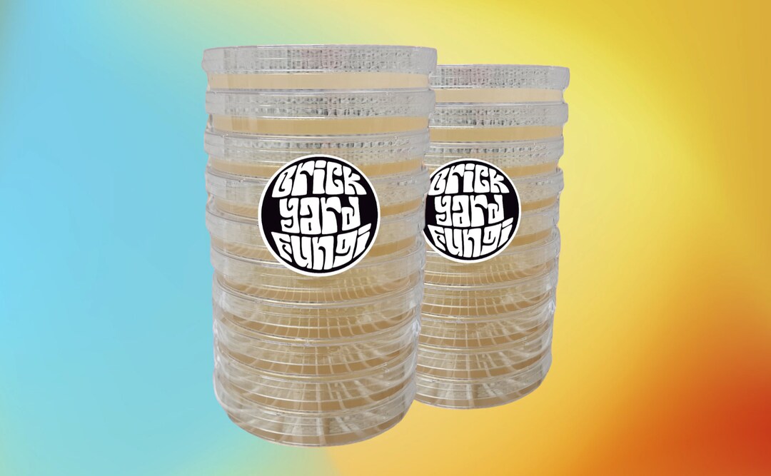 20 Pack Agar - MYEA - Malt Extract + Yeast - Sterile Pre Poured Petri ...