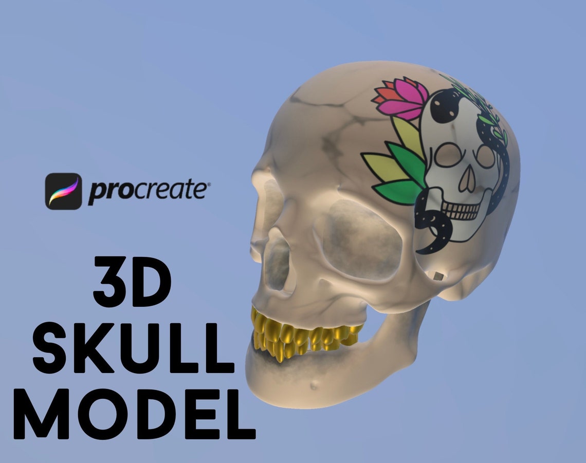 Procreate 3D Object Skull Model Tattoo Brush Witch Animal - Etsy