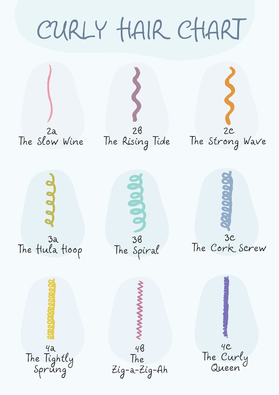 Detailed Hair Types Chart Set Of Strands Growth Patterns Stock ... Detailed Hair Types Chart Set Of Strands Growth Patterns Stock ...