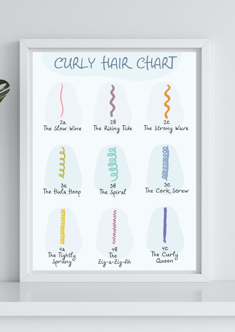 Curly Hair Type Chart - Etsy