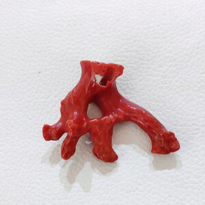 Beautiful Natural Italian Red Coral Branch, Red Coral Branch Gemstone ...