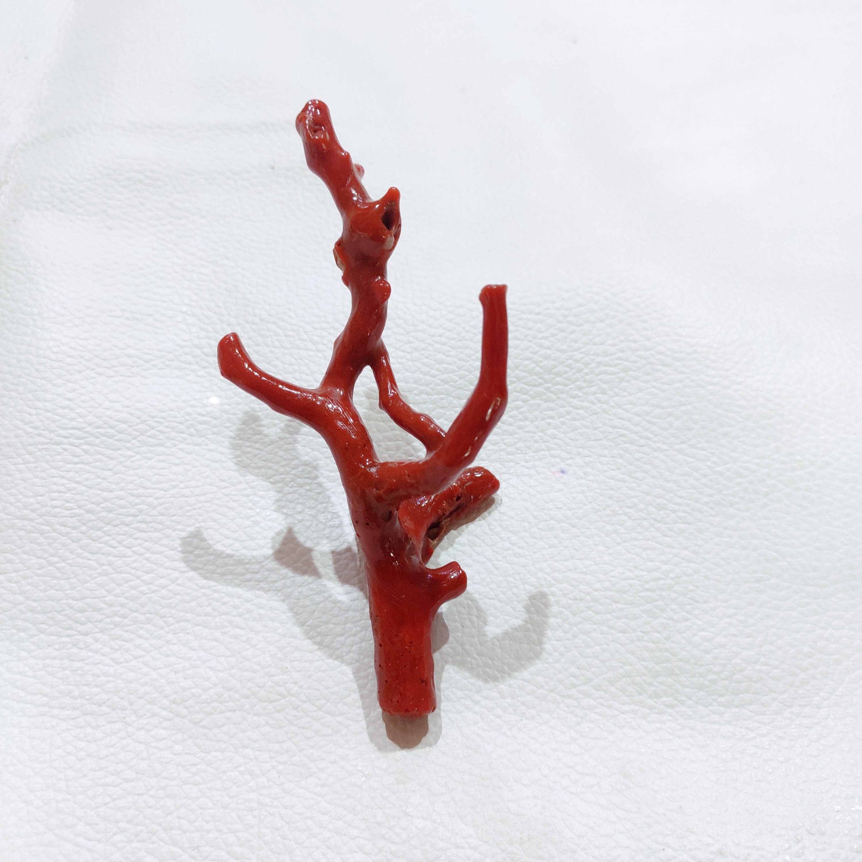 Big Size Italian Red Coral Branch Gemstone, Coral Polished Branch ...