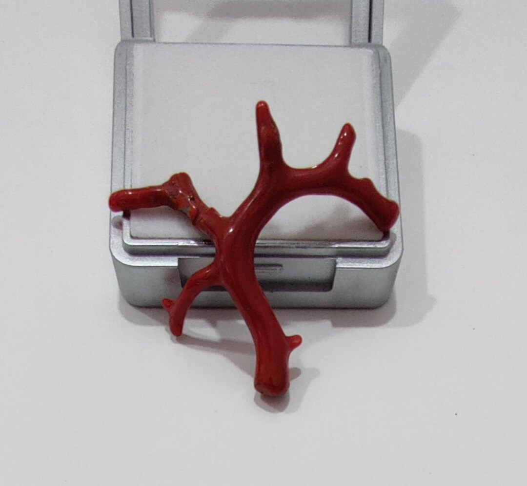 Italian Coral Reef Branch 100% Natural Italian Red Coral Rough Polished ...