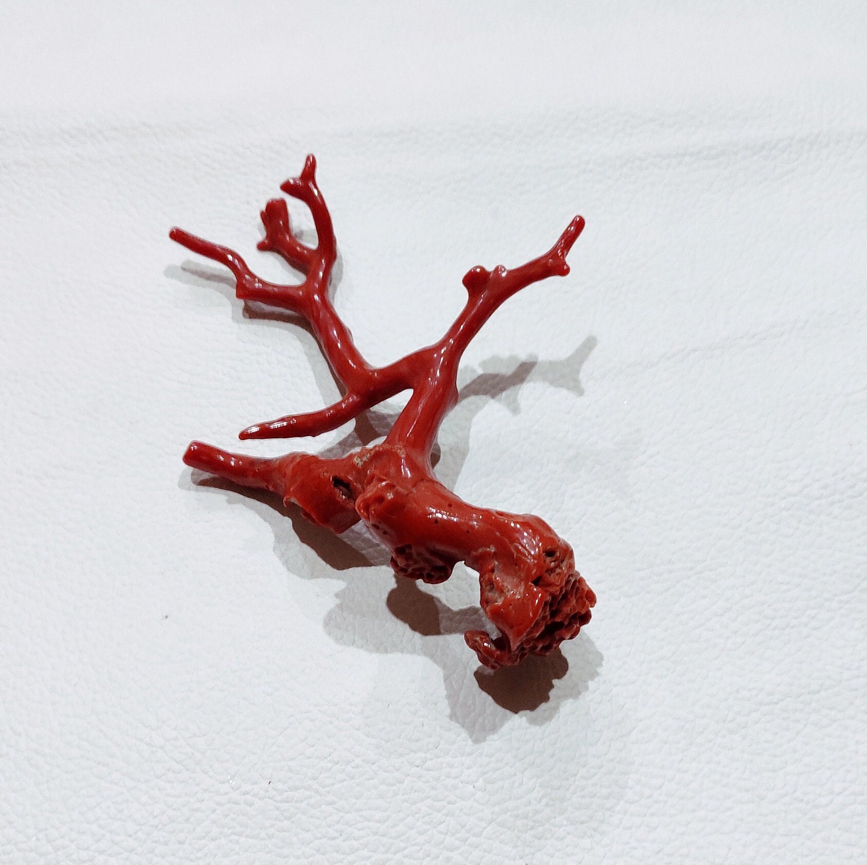 Big Size Italian Red Coral Branch Gemstone, Coral Shiny Polished Branch ...