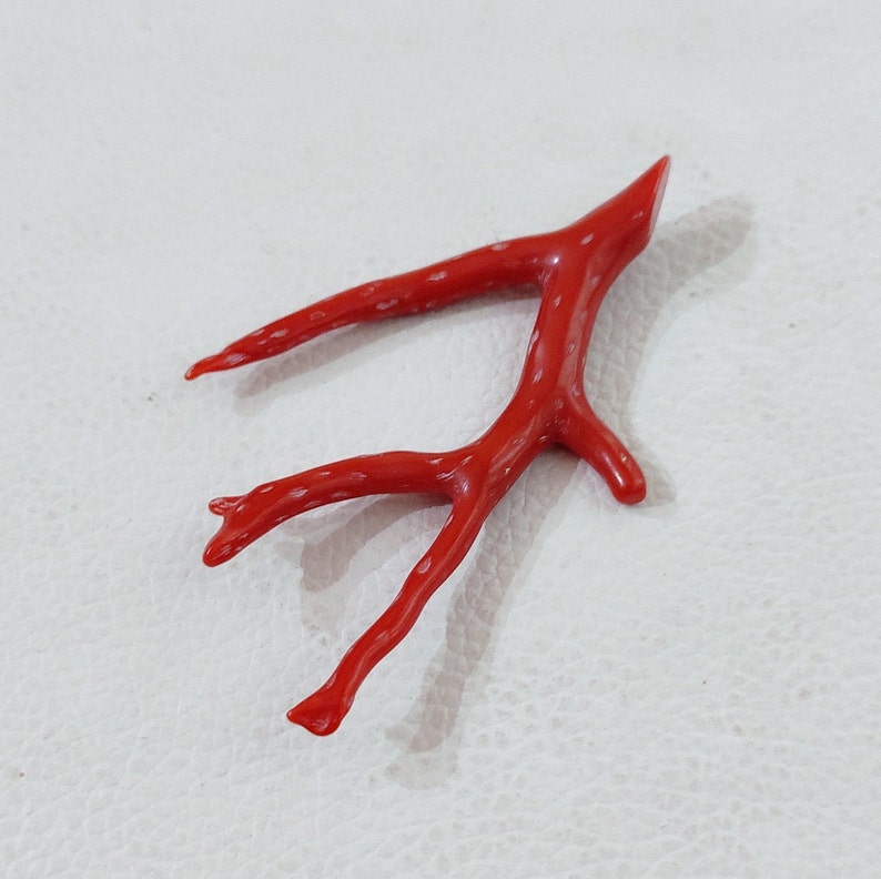 Mediterranean Italian Red Coral Branch, Red Coral Branch Loose Gemstone ...