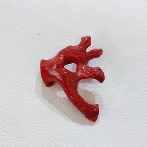 Beautiful Natural Italian Red Coral Branch, Red Coral Branch Gemstone ...