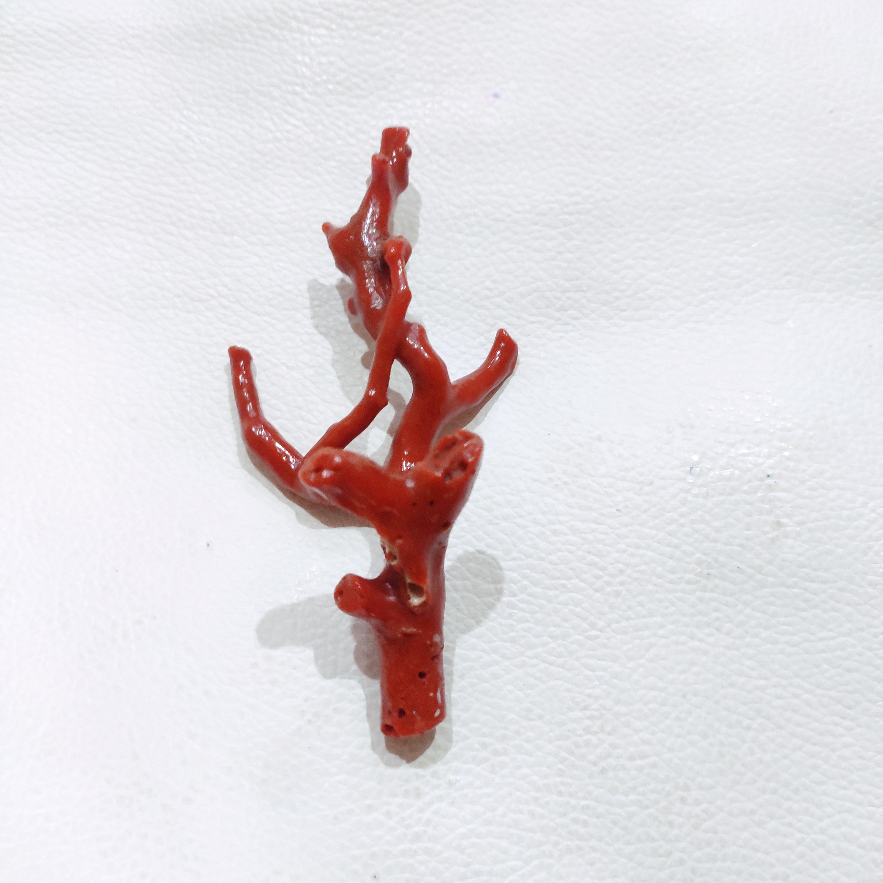 Big Size Italian Red Coral Branch Gemstone, Coral Polished Branch ...