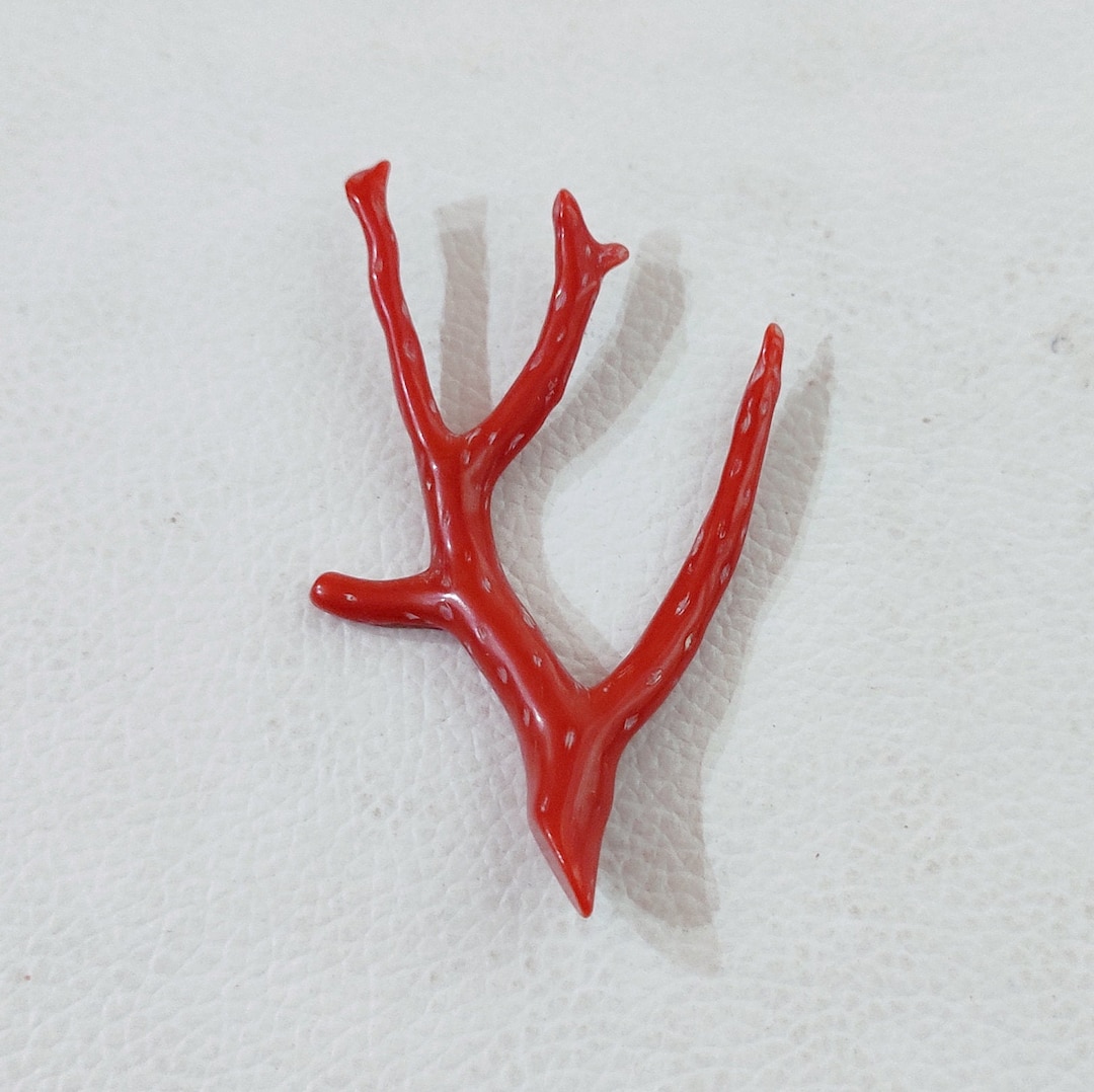 Mediterranean Italian Red Coral Branch, Red Coral Branch Loose Gemstone ...