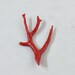 Mediterranean Italian Red Coral Branch, Red Coral Branch Loose Gemstone ...
