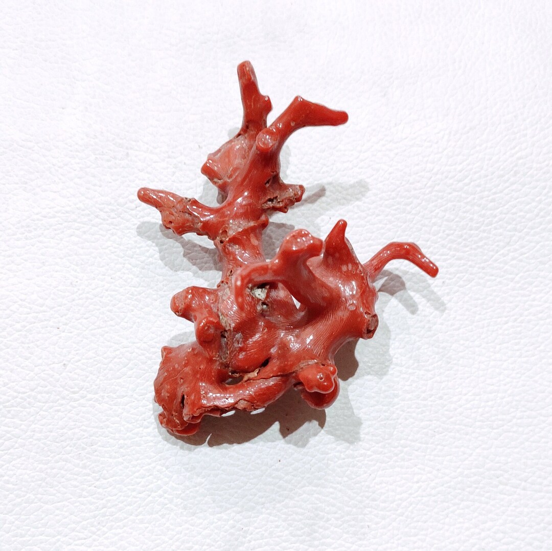 Vintage Italian Red Coral Rough Gemstone, 100% Natural Coral Polished ...