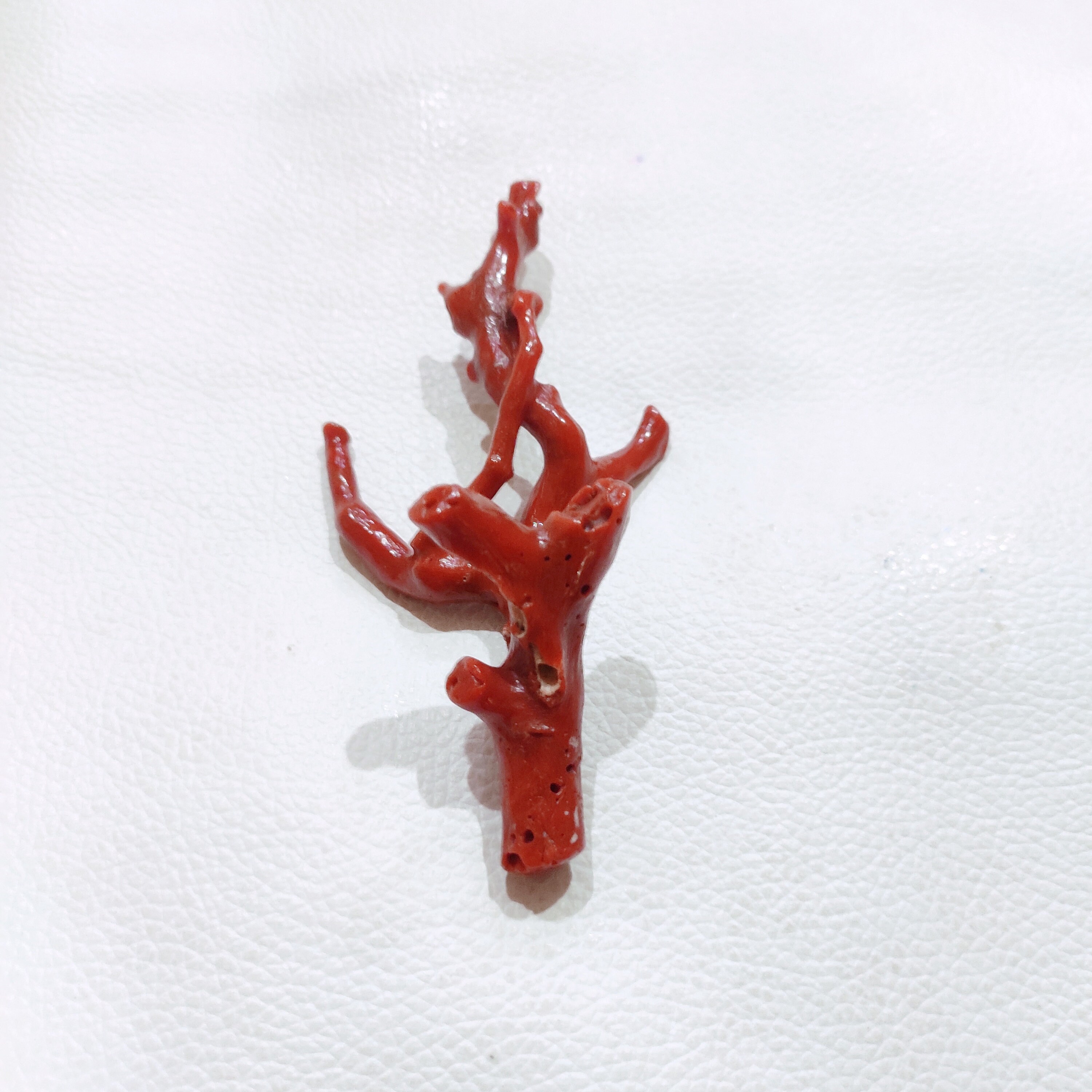 Big Size Italian Red Coral Branch Gemstone, Coral Polished Branch ...