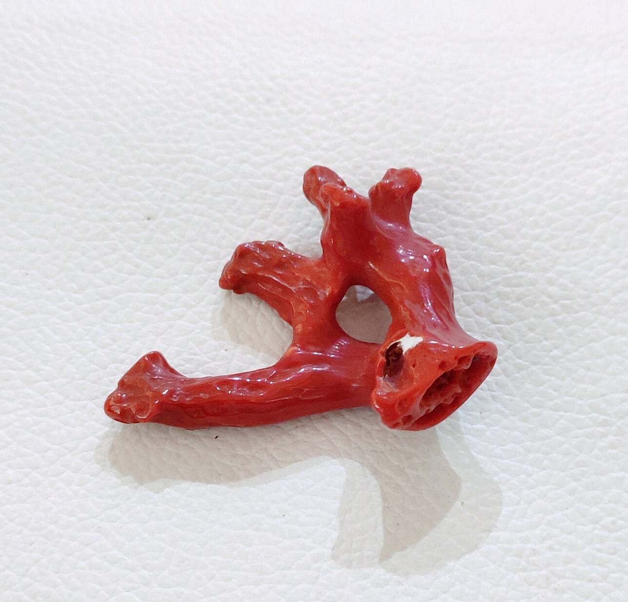 Beautiful Natural Italian Red Coral Branch, Red Coral Branch Gemstone ...