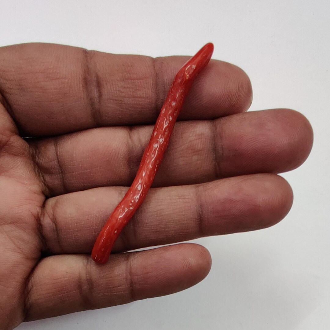 Beautiful 100% Natural Italian Red Coral Horn Stick, Red Coral Rough ...