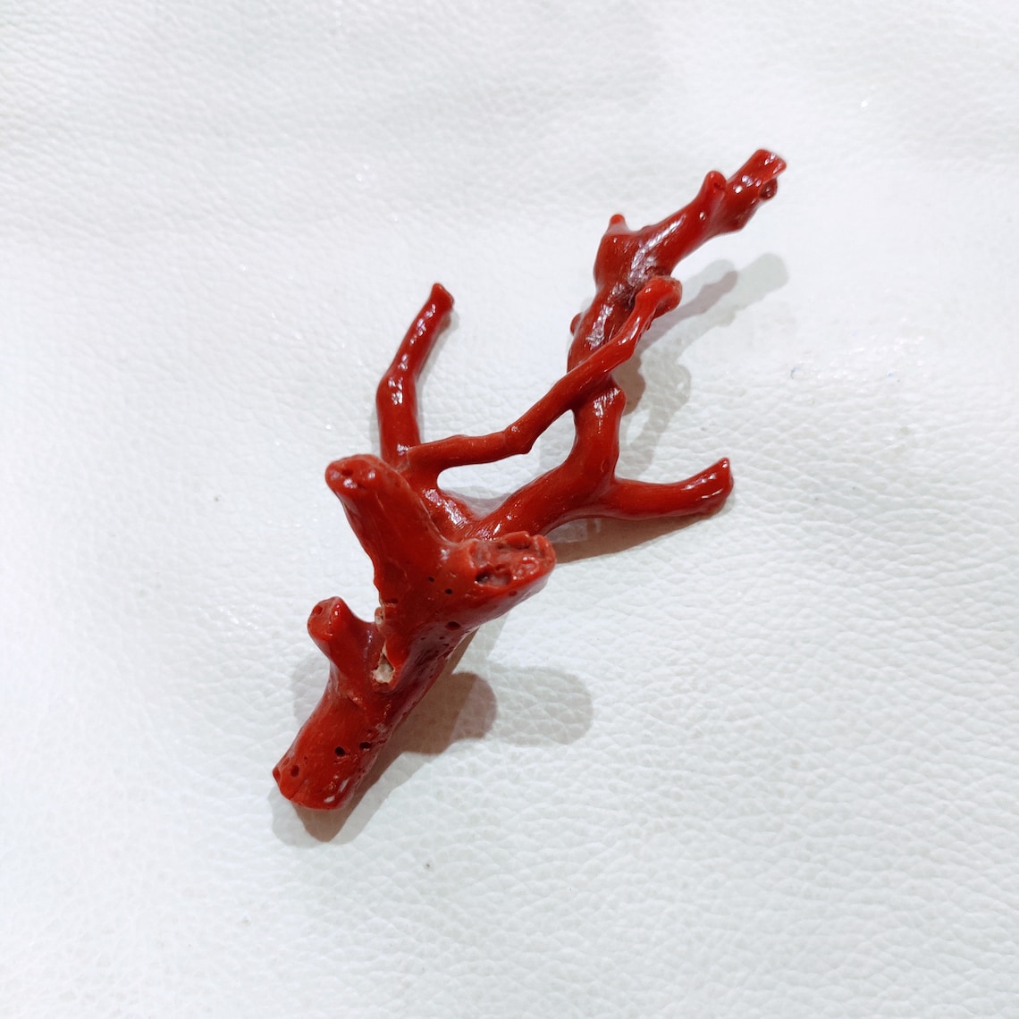 Big Size Italian Red Coral Branch Gemstone, Coral Polished Branch ...