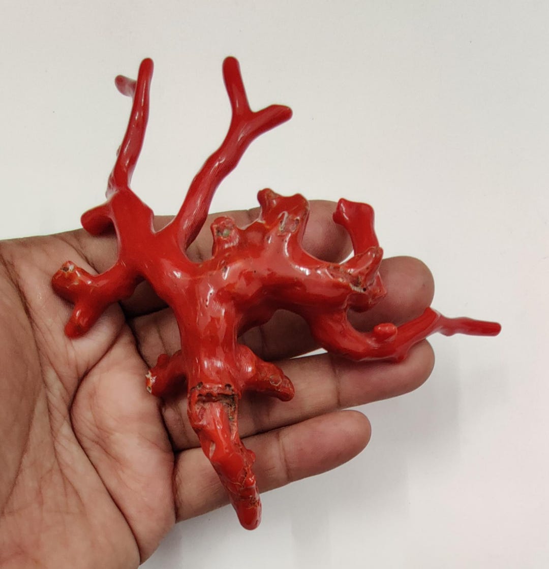 Big Size Vintage Italian Red Coral Branch 100% Natural Coral Branch ...