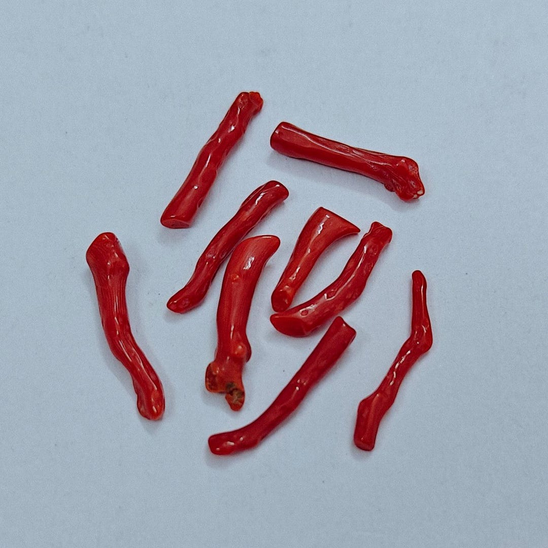 9 Piece Red-orange Coral Stick Lot: Italian Gemstone Rough - Etsy