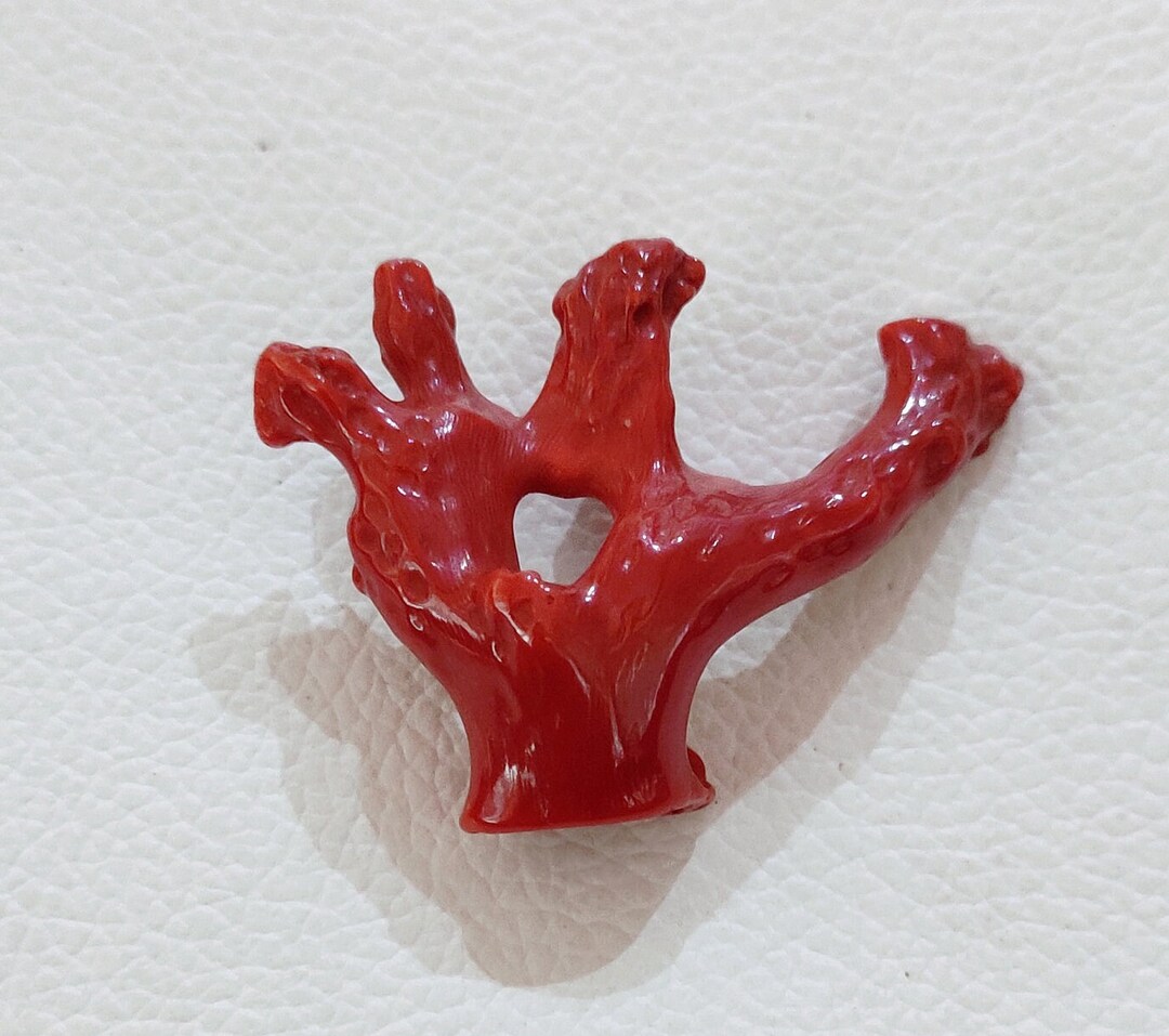 Beautiful Natural Italian Red Coral Branch, Red Coral Branch Gemstone ...