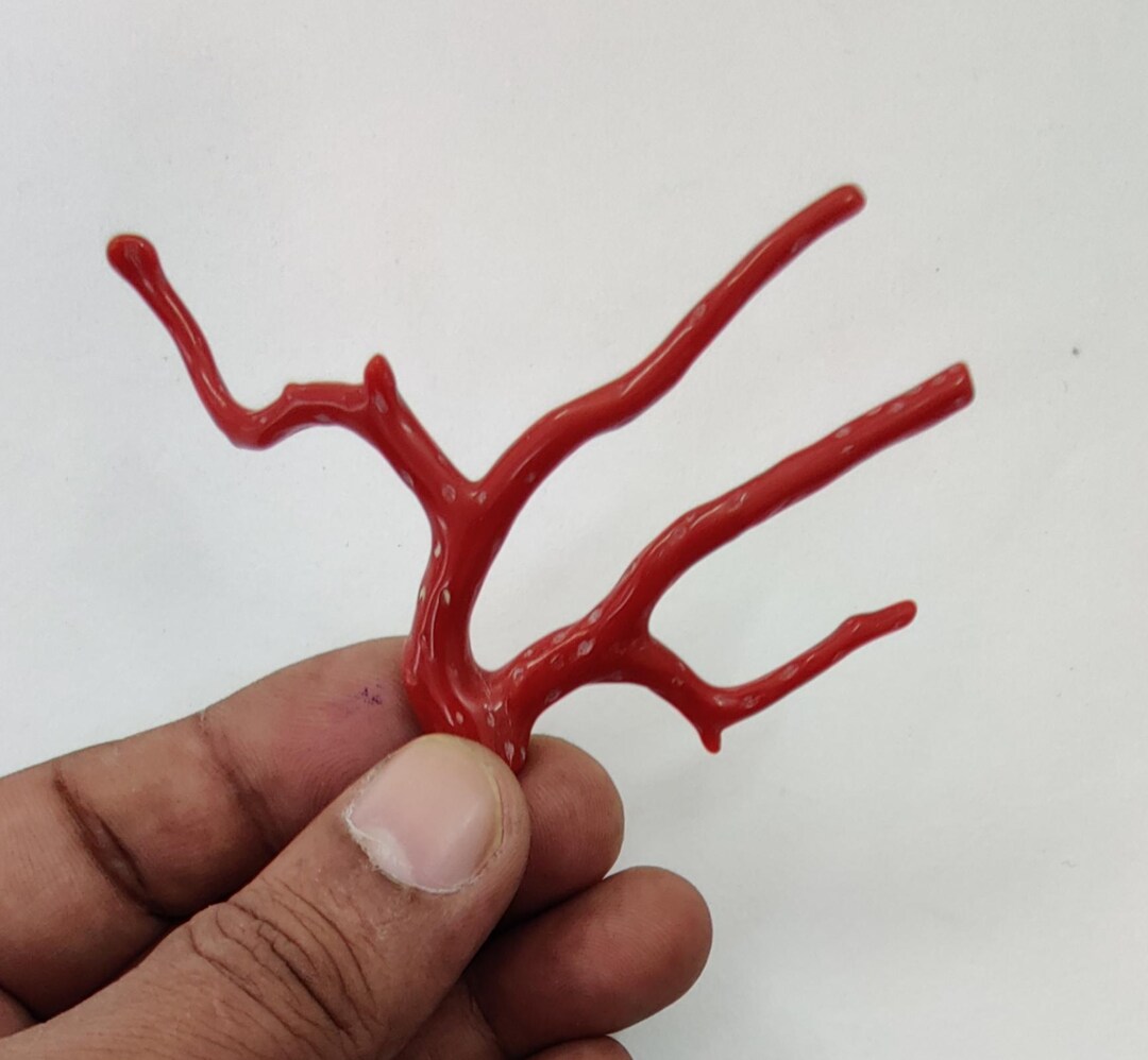 Beautiful Red Coral Branch 100% Natural Italian Red Coral Polished Tree ...